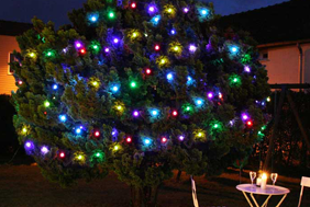 Buy Lighting Luminaires Online | CEF