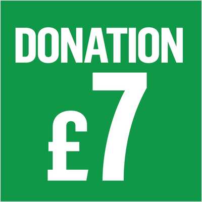 Engex 10 Tread Fibreglass Stepladder (GX-SL10) | CEF