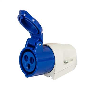 Walther 16A 2P+E 230V Wall Mounted Socket IP44 (110306) | CEF