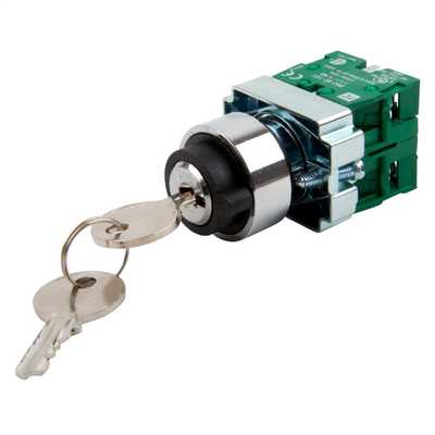 MCG 32A Roller Shutter Door Keyswitch (ROLLER32A) | CEF