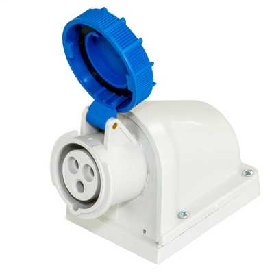 Lewden 16A 2P+E 230V Wall Mounted Socket IP67 (509126) | CEF