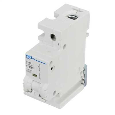 Proteus 100A Single Pole 10kA C Curve MCB (CB100S/C) | CEF