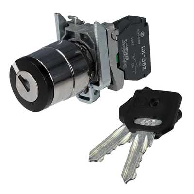 Schneider Telemecanique Ronis 455 Key Switch 2 Position Stay Put 1 NO ...