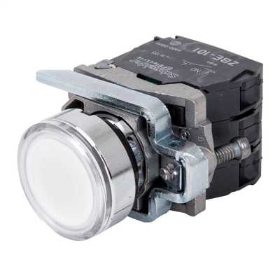 Schneider Telemecanique 24V Illuminated Pushbutton Spring Return White (XB4BW31B5) | CEF