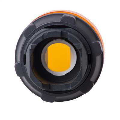 Schneider Telemecanique Plain Lens for Integral LED Pilot Light Head ...