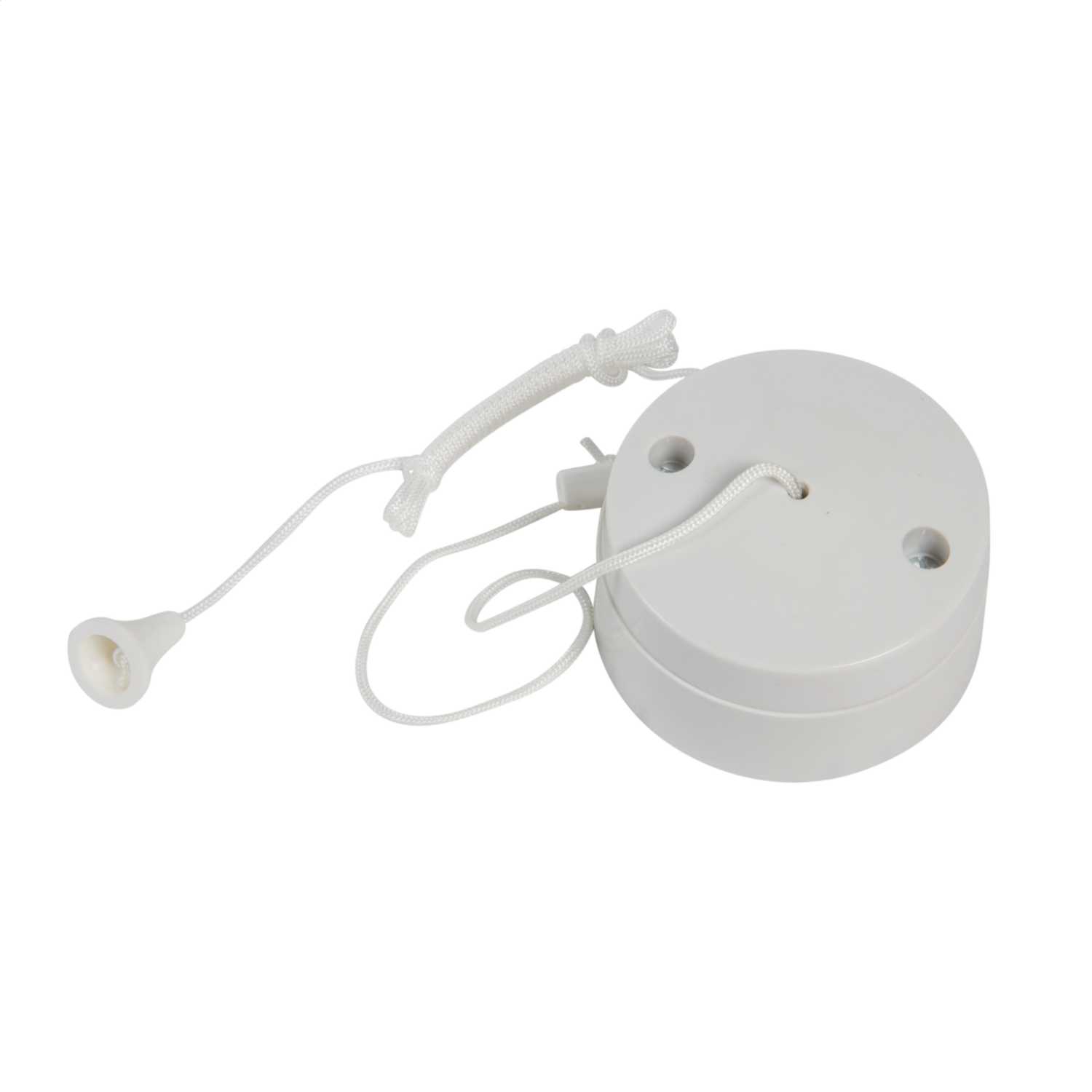 BG 6A 1 Way Ceiling Switch (801) | CEF