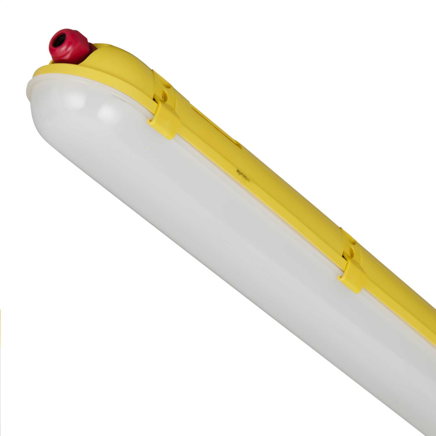 Briticent 30W 110V 5ft LED Single Non Corrosive Fitting 6300K ...