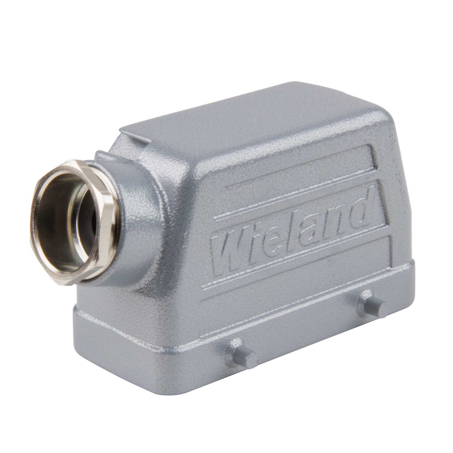 Wieland 16A 16P+E 500V Multipole Connector Hood (16PE16AP) | CEF