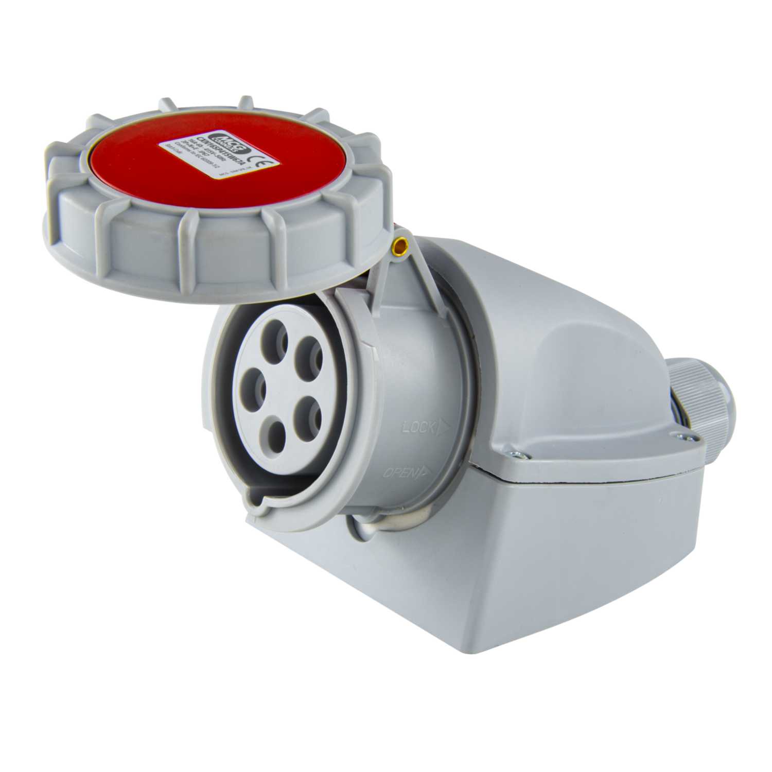 Connexs 16A 3P+N+E 415V Wall Mounted Socket IP67 (CXN165P415W67A) | CEF