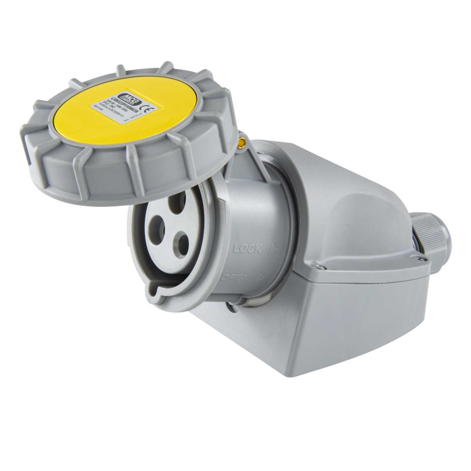 Connexs 32A 2P+E 110V Wall Mounted Socket IP67 (CXN323P110W67A) | CEF