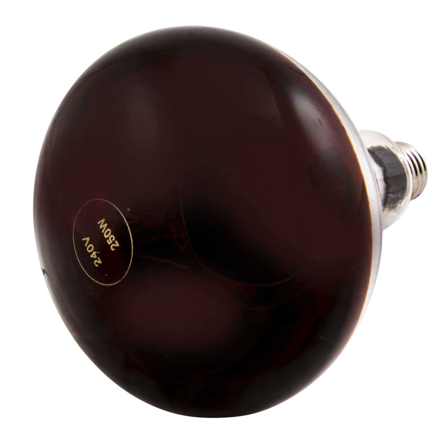 Fusion 250W ES R125 Infrared Reflector Lamp Red (IR250ES/R) | CEF