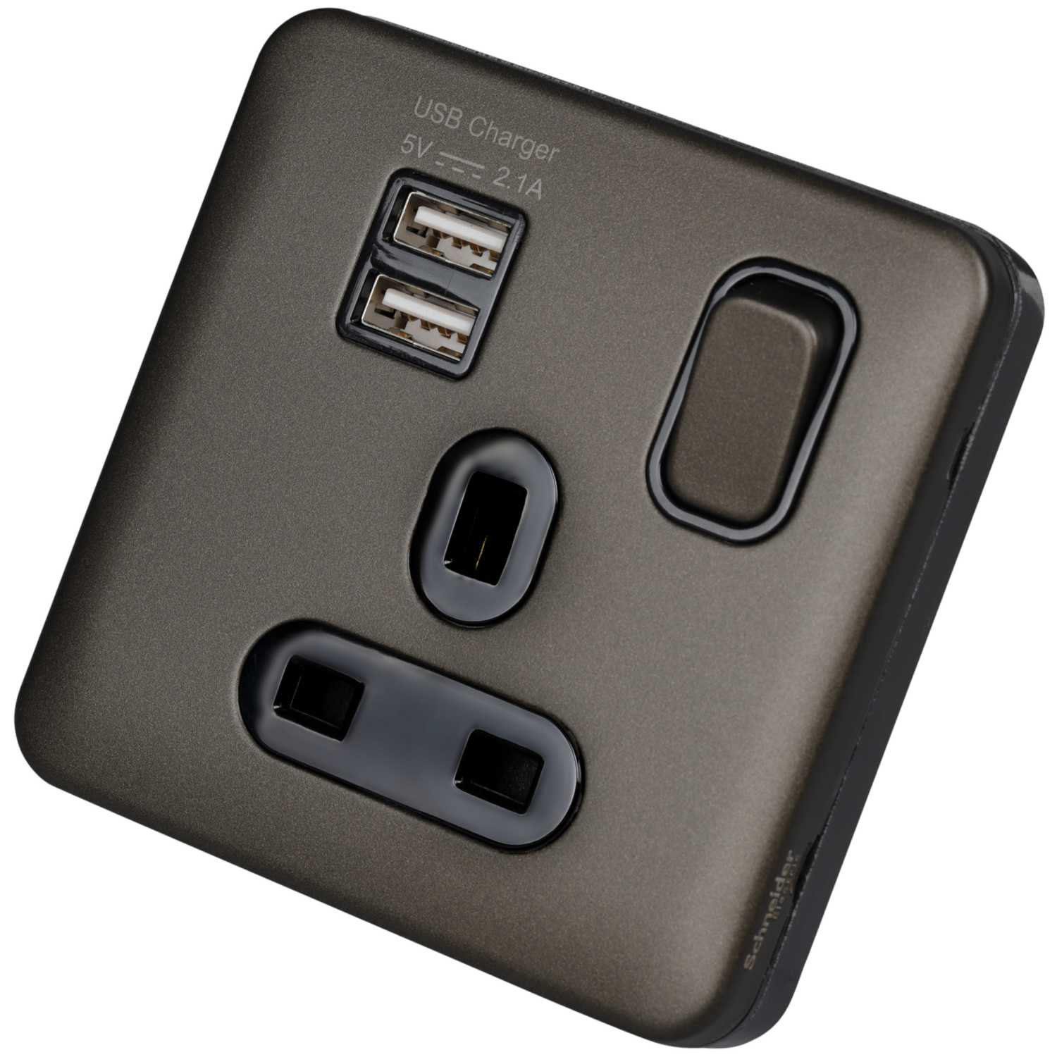 Schneider Lisse Deco 13A 1 Gang Switched Socket with Twin USB Outlets ...