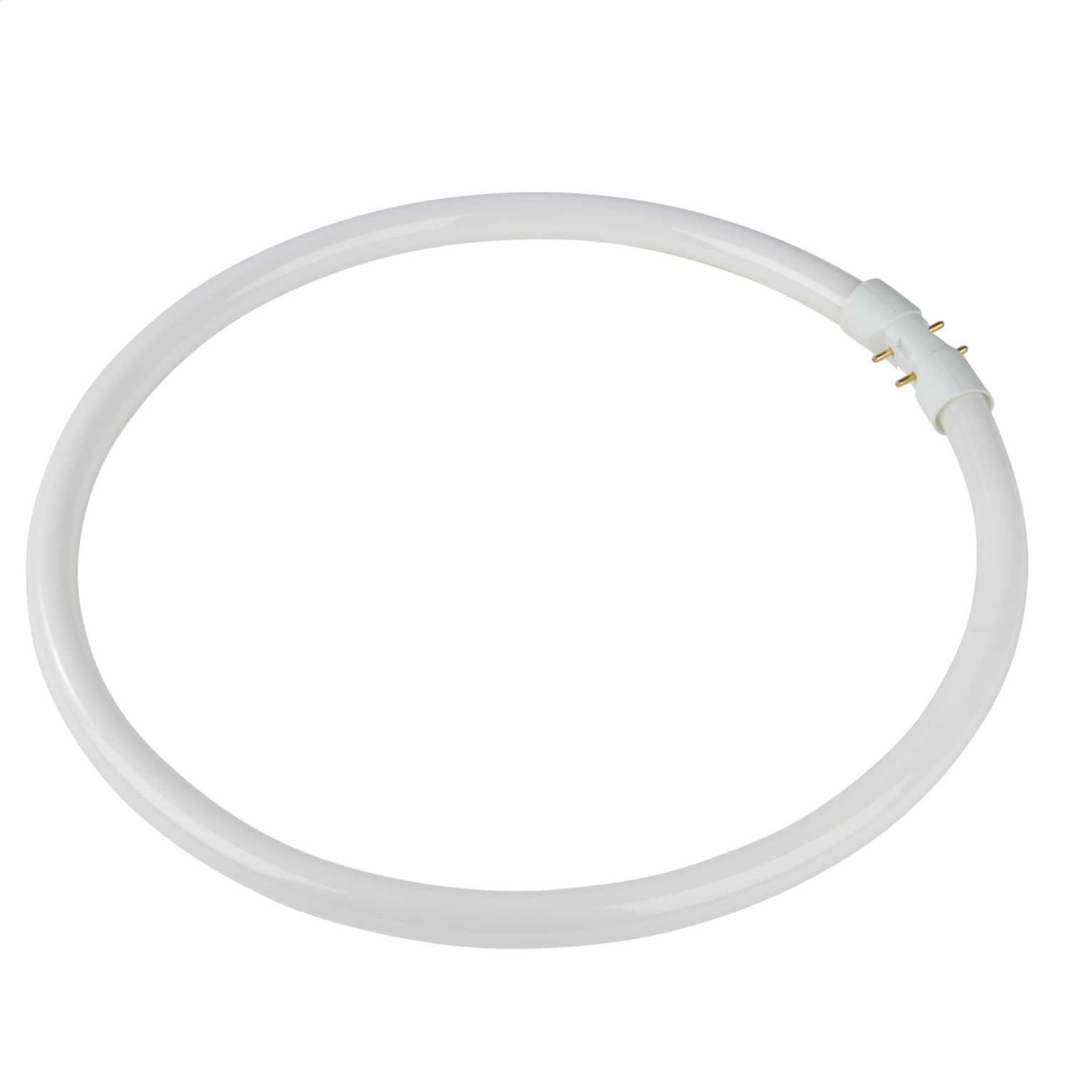 Osram Lumilux T5 FC 40W 2GX13 T5 Circular Tube Deluxe 6500K (4050300528502) | CEF