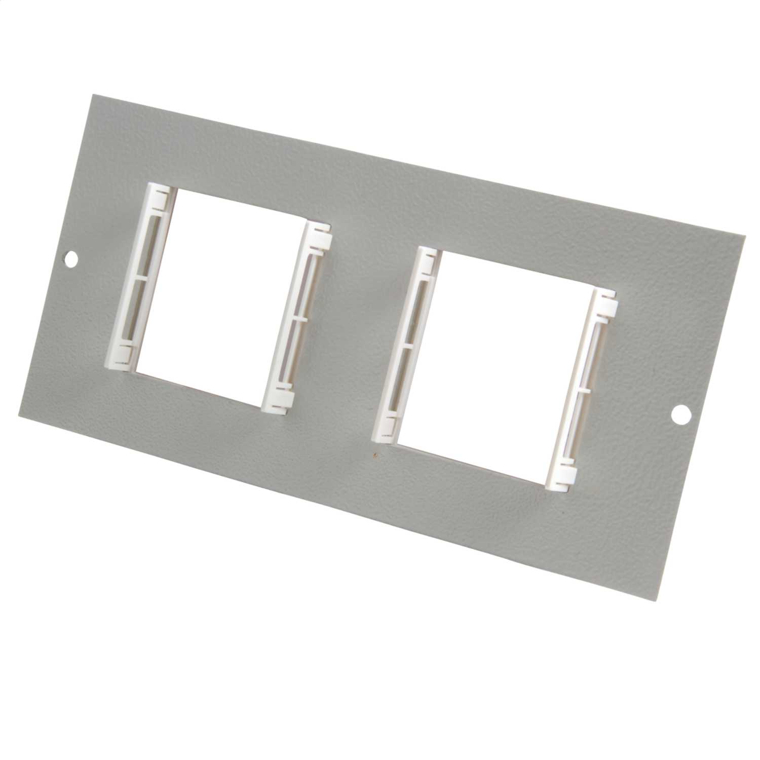 Tass 2 x 50mm x 50mm Euro Module Plate for Floor Box (STO294) | CEF