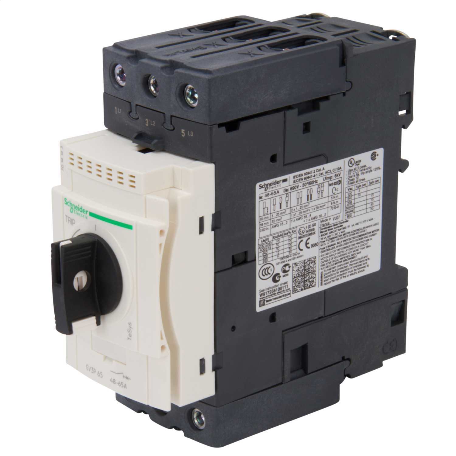 Schneider Telemecanique 65A Thermal Magnetic Circuit Breaker 690V ...
