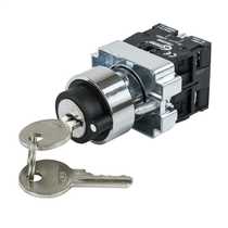 Key Operated Switches | City Electrical Factors