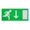 Eterna 4W LED Maintained Emergency Exit Box Sign (EXIT3MLED) | CEF